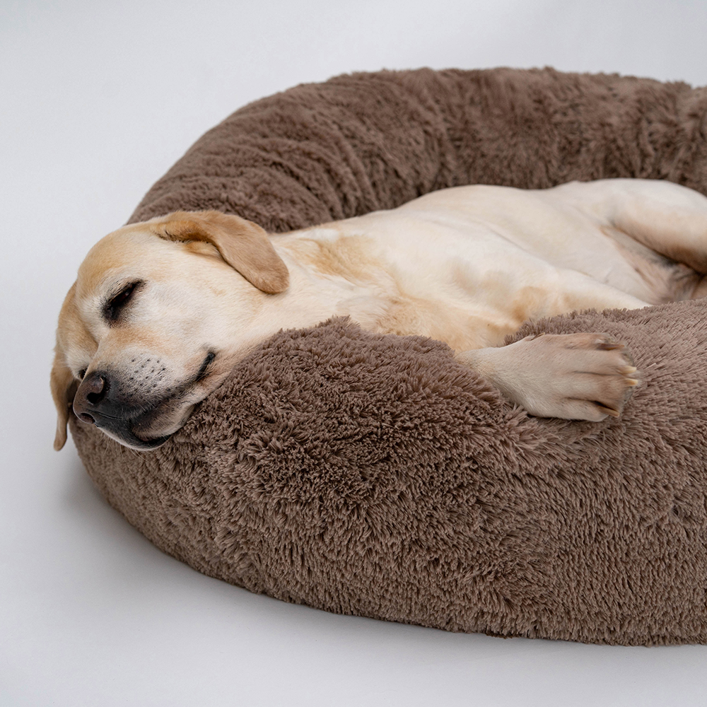 Kvalitetsprodukter til Hunde – Alt til din Hund